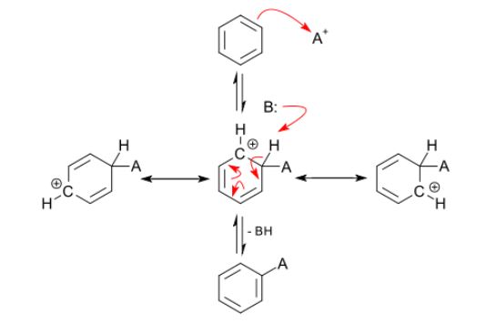 Electrophilic Aromatic Substitution - Mechanism and Reaction Details
