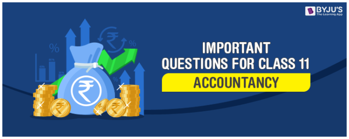 Important Questions for Class 11 Accountancy - Chapter wise
