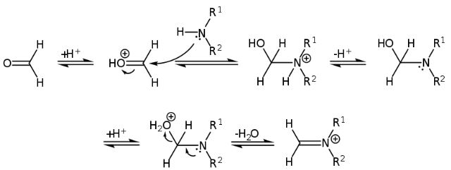 Mannich Reaction Mechanism - Reaction Details and Applications