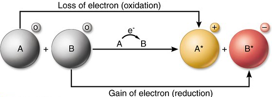 Redox Reactions Examples Types Applications Balancing