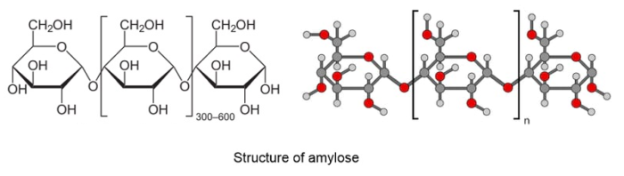 Amylose [(C6H10O5)n] - Structure, Properties and Uses of Amylose