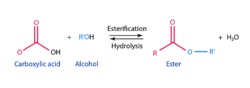 Esterification (Alcohol & Carboxylic acid) - Reactions Mechanism & Uses ...