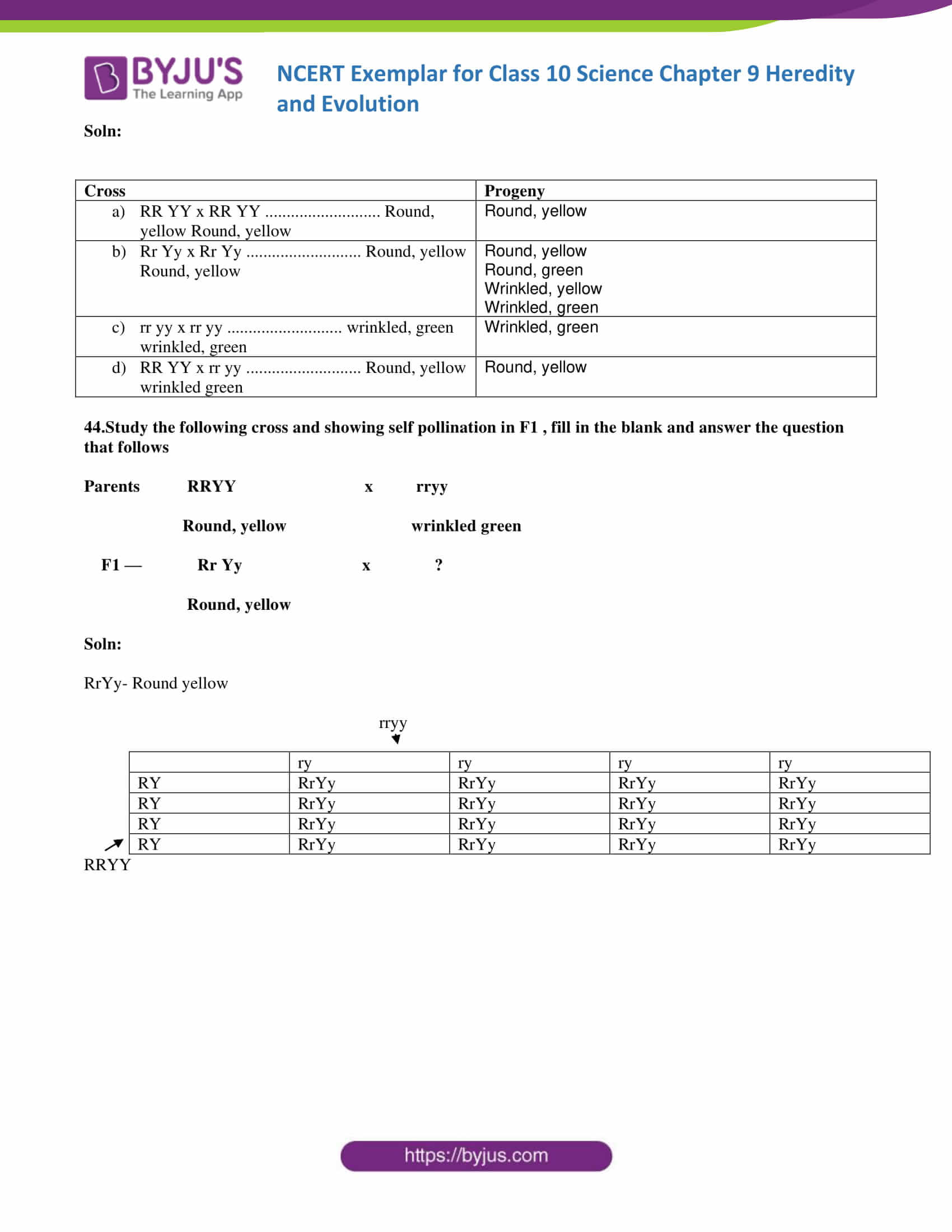 NCERT Exemplar Class 10 Science Solutions Chapter 9 ncert-exemplar-class-10-science-solutions-chapter-9