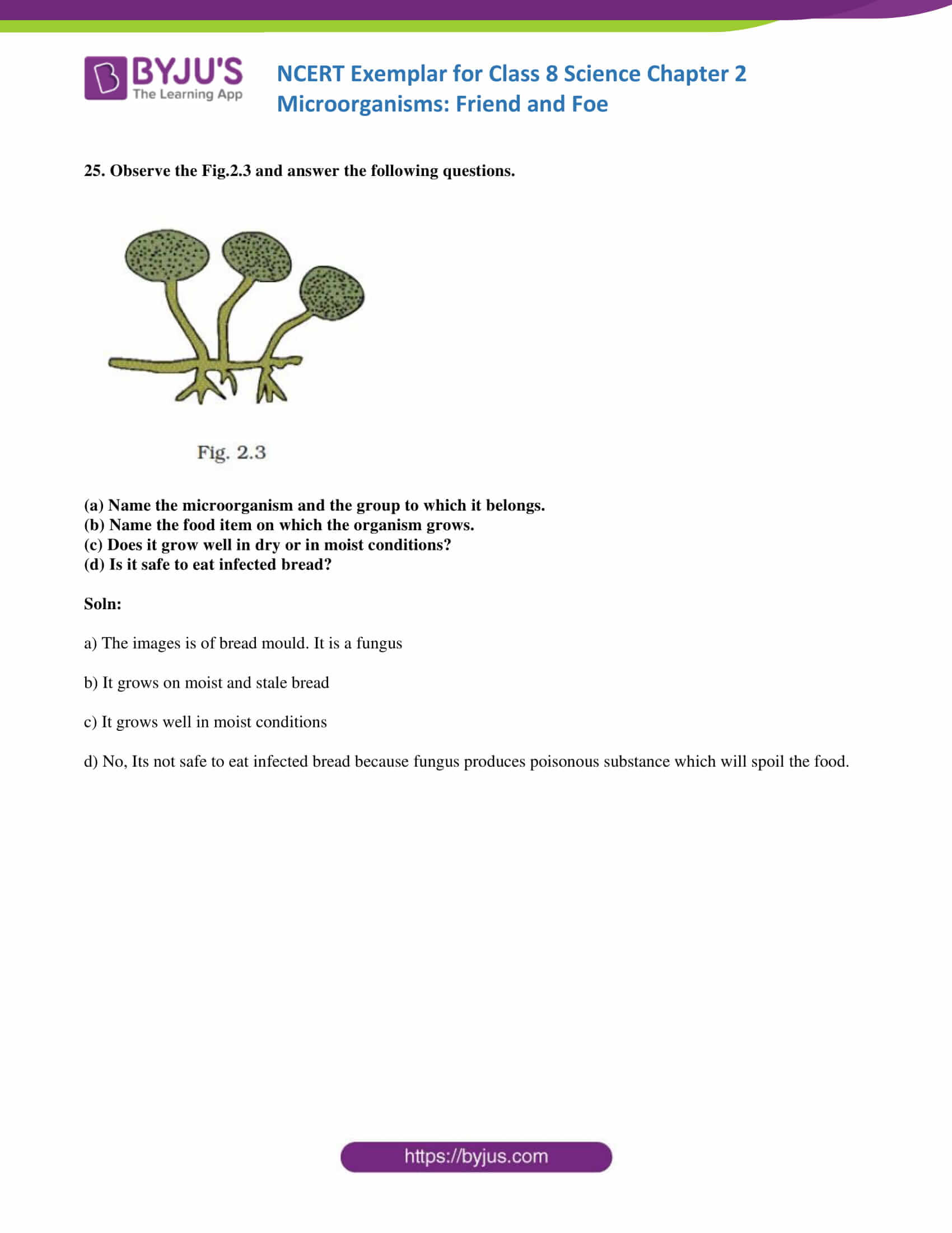 NCERT Exemplar Class 8 Science Solutions Chapter 2 Microorganisms
