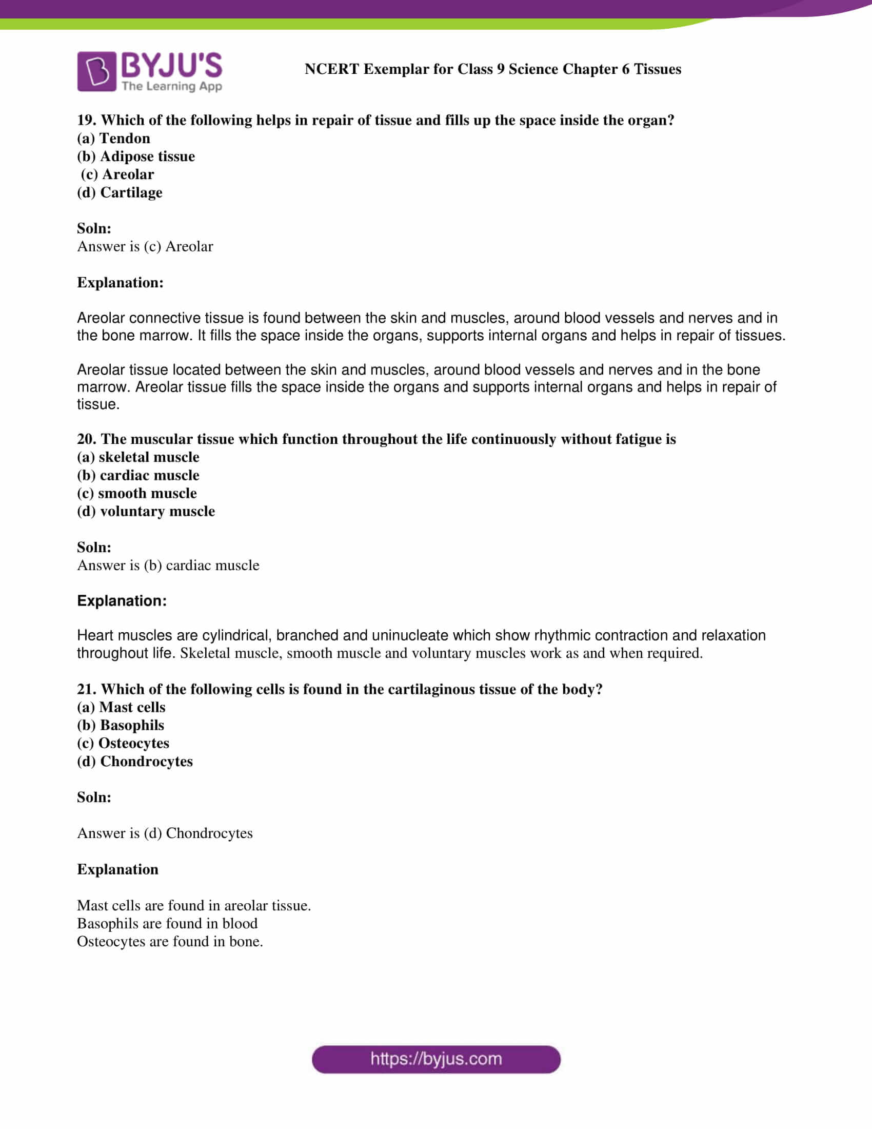 NCERT Exemplar Class 9 Science Solutions Chapter 6 Tissues NCERT Exemplar Class 9 Science Solutions Chapter 6 Tissues