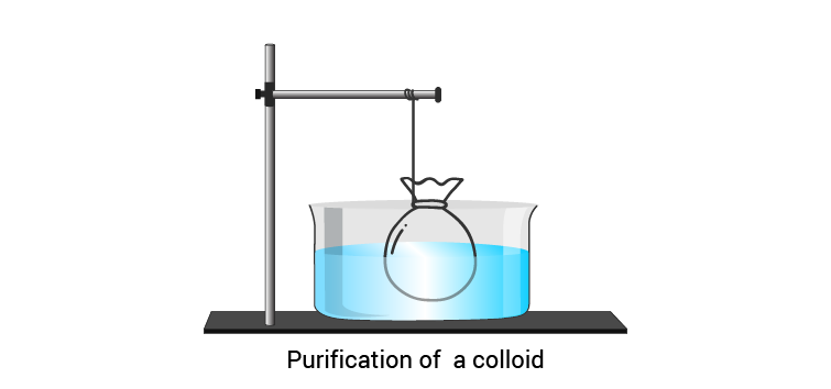 Dialysis Of Lyophilic And Lyophobic Sol - CBSE Class 12 Chemistry ...