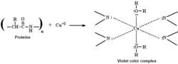 Biuret Test - Checking for Peptide Bonds with Biuret Reagent
