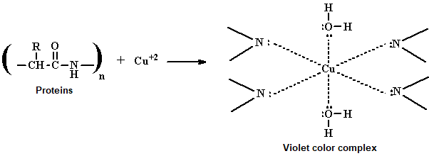 Biuret Test - Checking for Peptide Bonds with Biuret Reagent