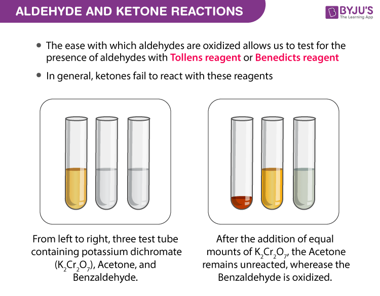 Which Table Correctly Describes The Uses Of Aldehydes JamalanceNicholson Which Table Correctly Describes The Uses Of Aldehydes JamalanceNicholson