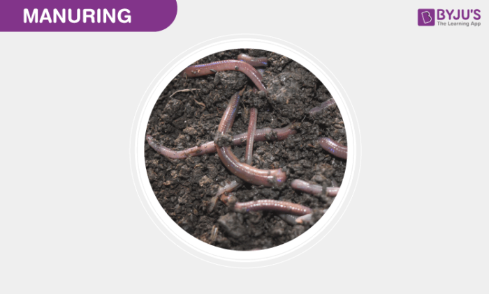 What Is Manure? - Definition, Types & Advantages of Manure