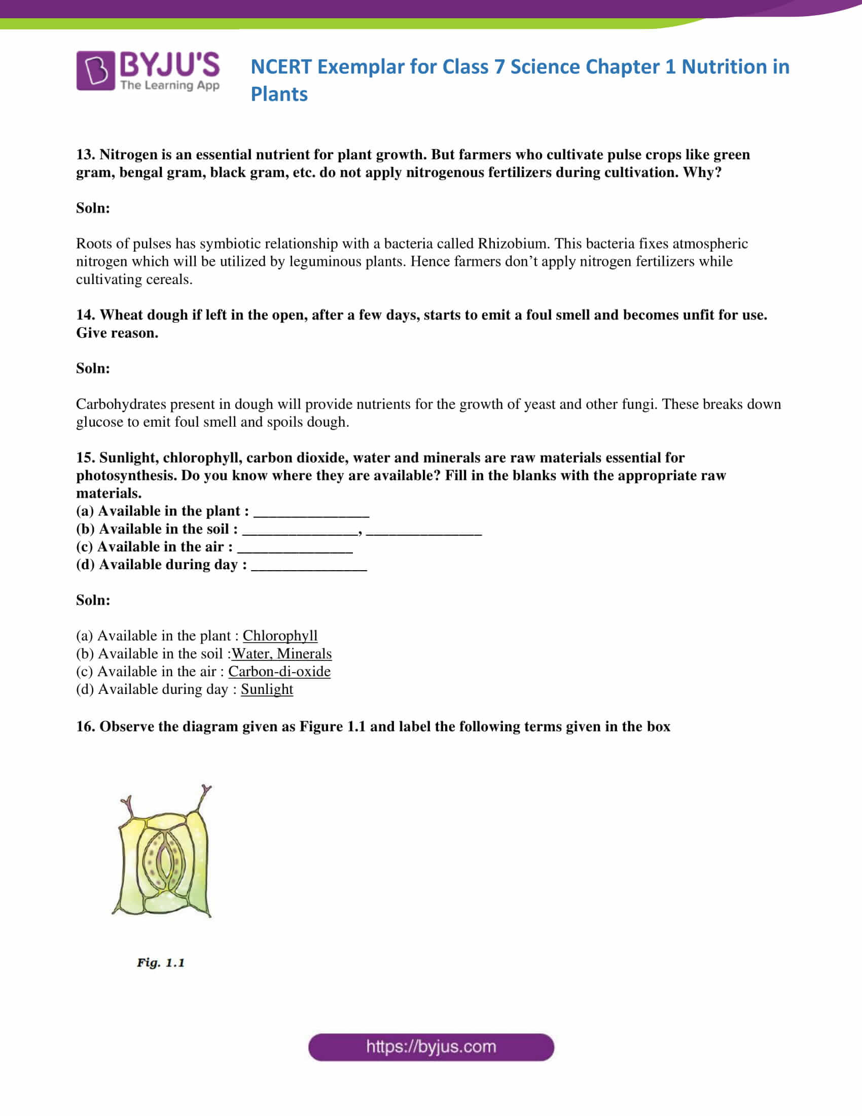 Ncert Exemplar Solutions For Class 7 Science Chapter 1 Nutrition In 