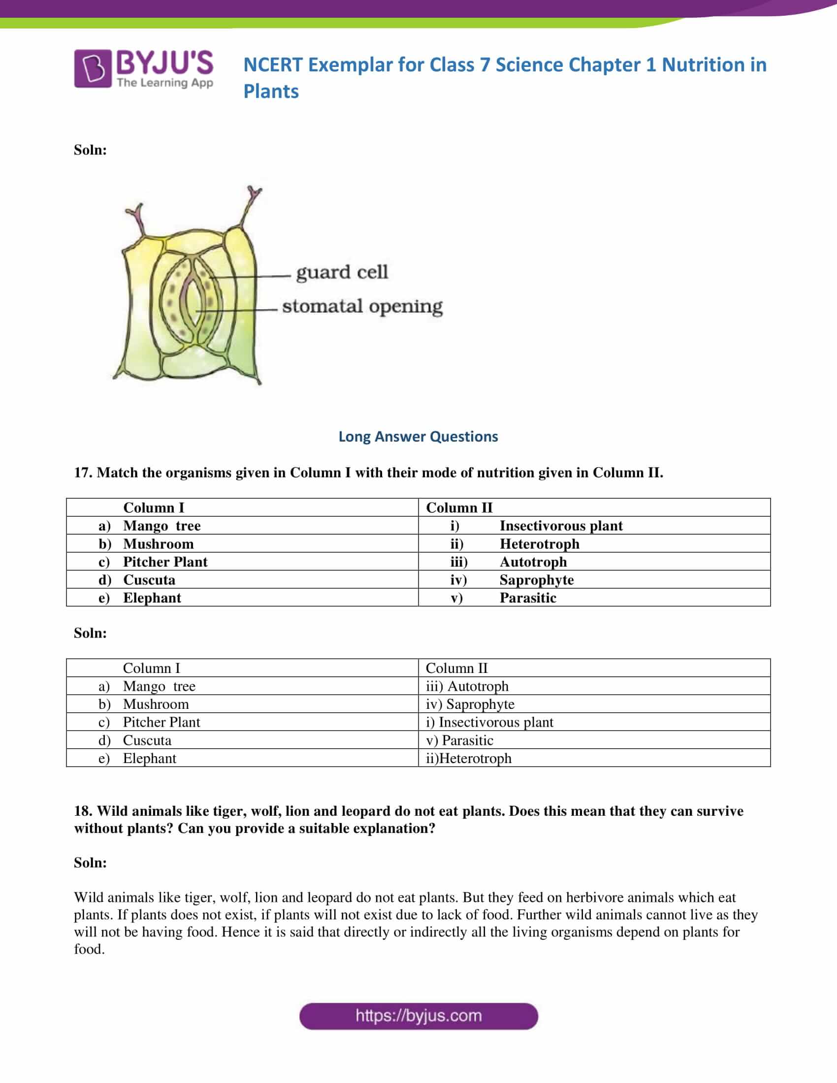 NCERT Exemplar Solutions For Class 7 Science Chapter 1 Nutrition In Plants NCERT Exemplar Solutions For Class 7 Science Chapter 1 Nutrition In Plants