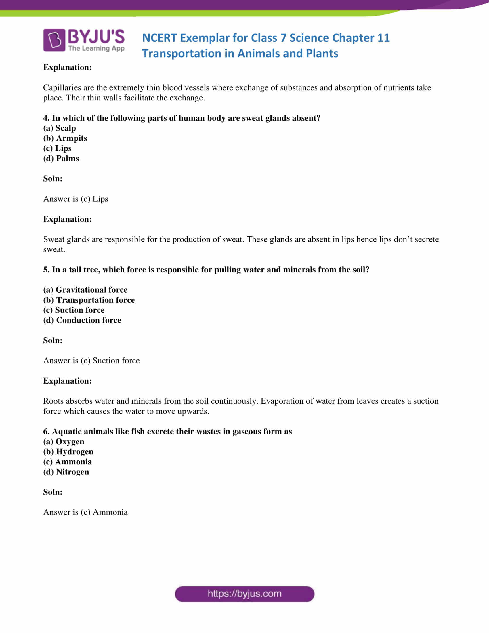 NCERT Exemplar Solutions For Class 7 Science Chapter 11 Transportation
