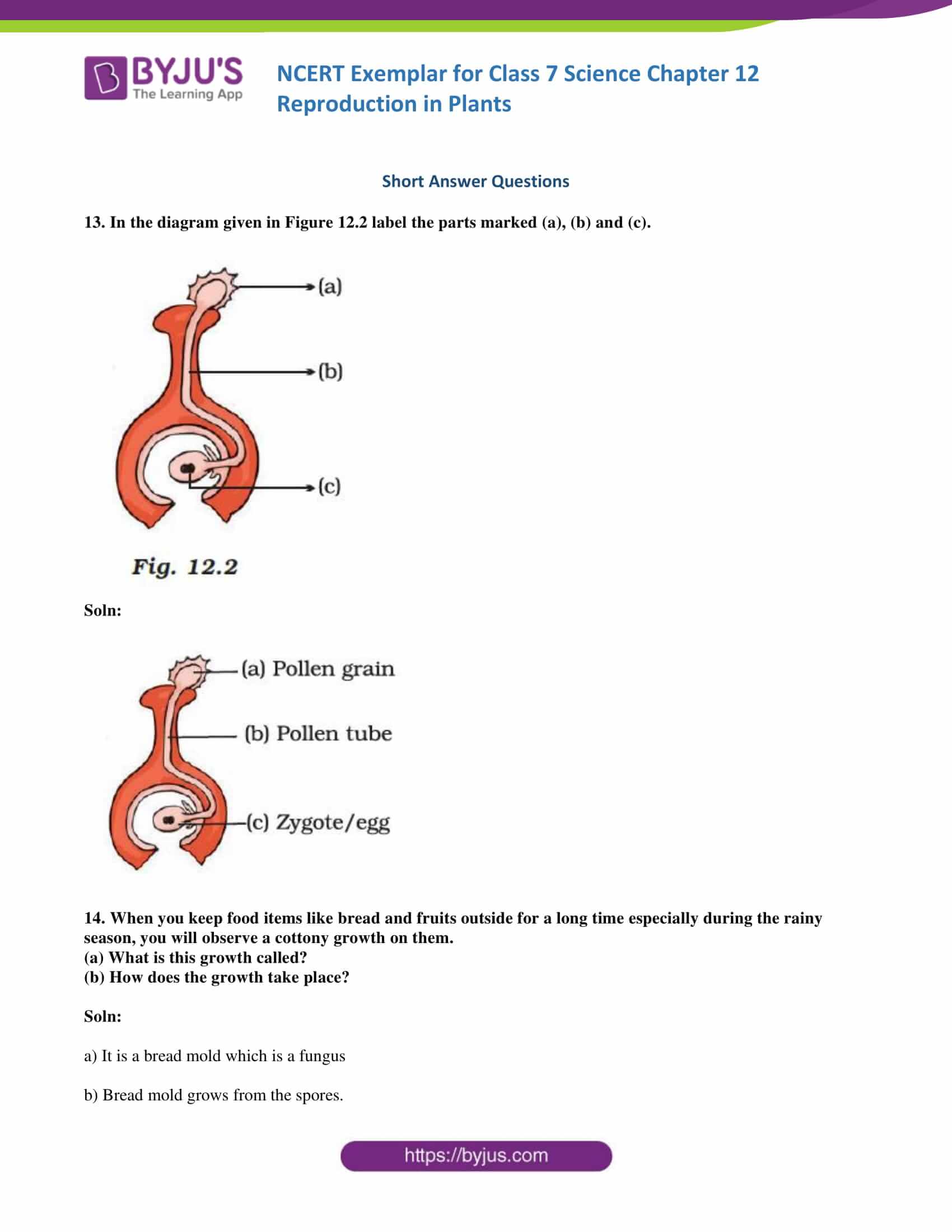 Ncert Exemplar Solutions For Class 7 Science Chapter 10 Respiration In 