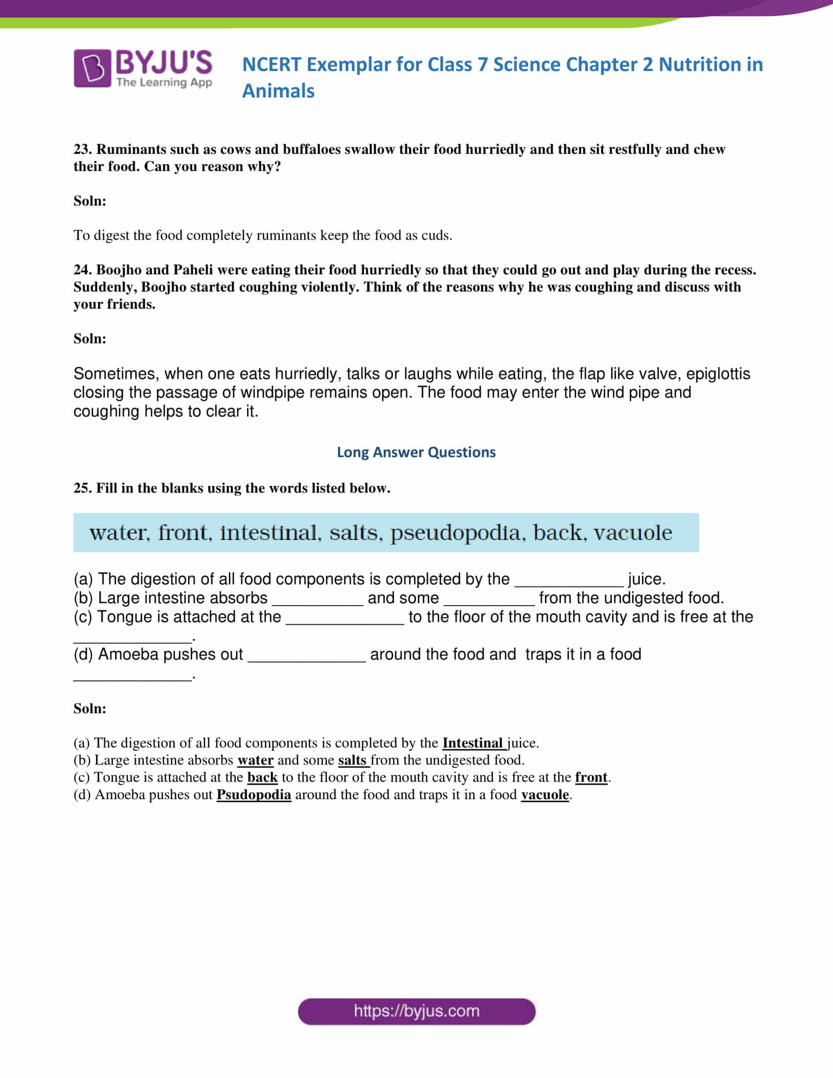 NCERT Exemplar For Class 7 Science Chapter 2 Nutrition In Animals NCERT Exemplar For Class 7 Science Chapter 2 Nutrition In Animals