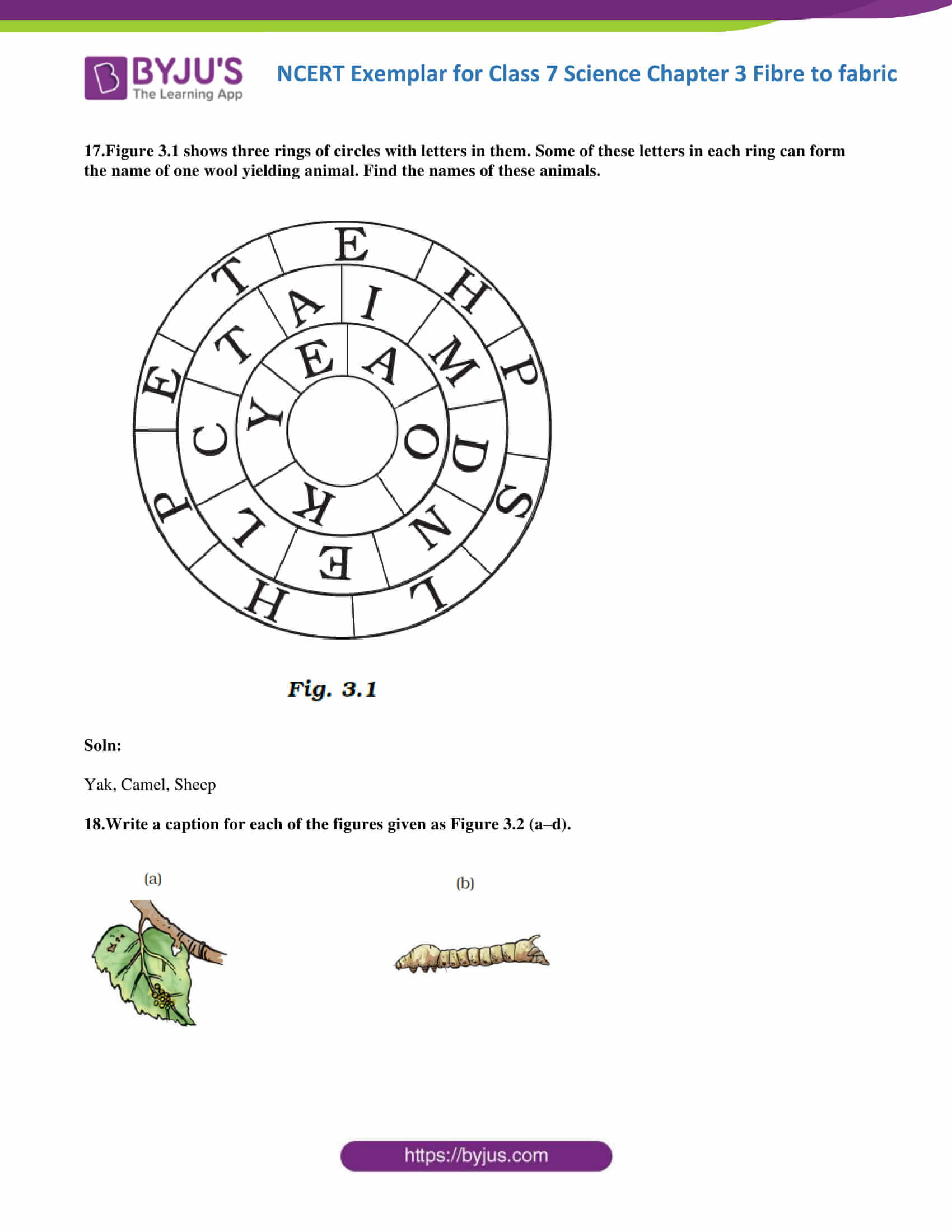 NCERT Exemplar Solutions For Class 7 Science Chapter 3 Fibre To Fabric NCERT Exemplar Solutions For Class 7 Science Chapter 3 Fibre To Fabric