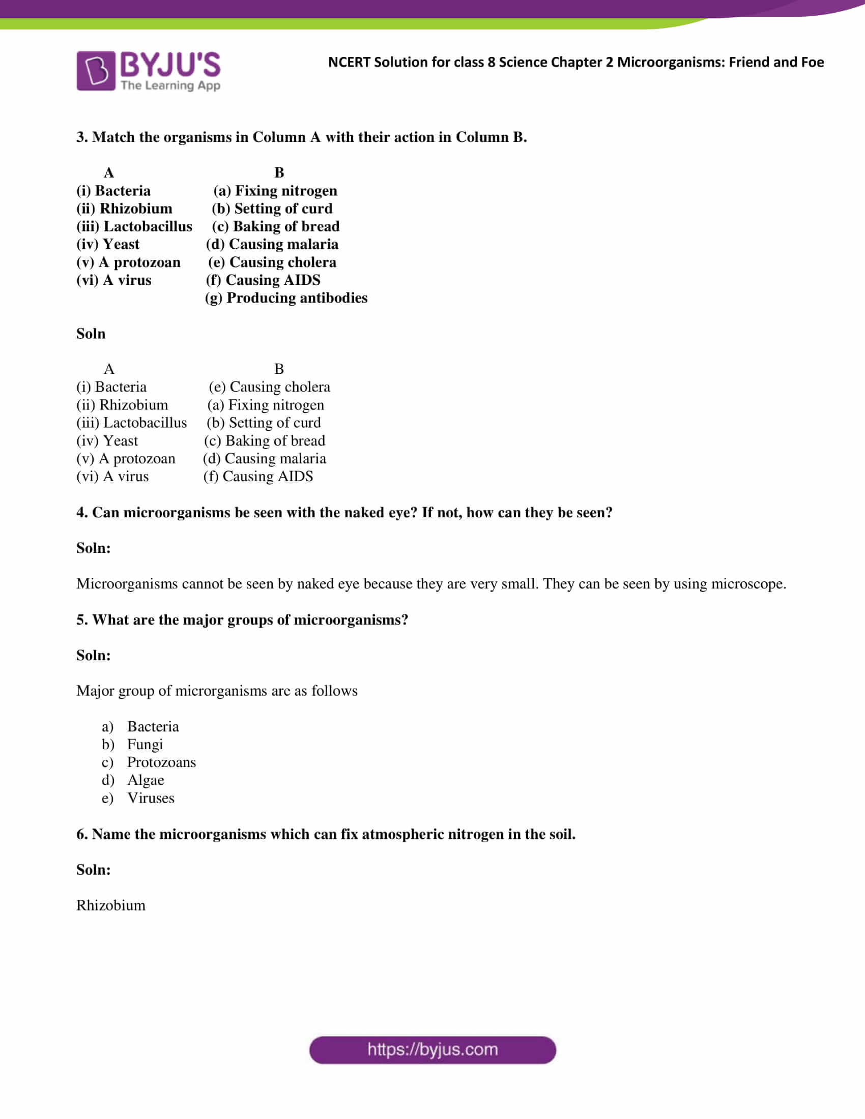 Ncert Solutions For Class 8 Science Chapter 2 Microorganism Friend And