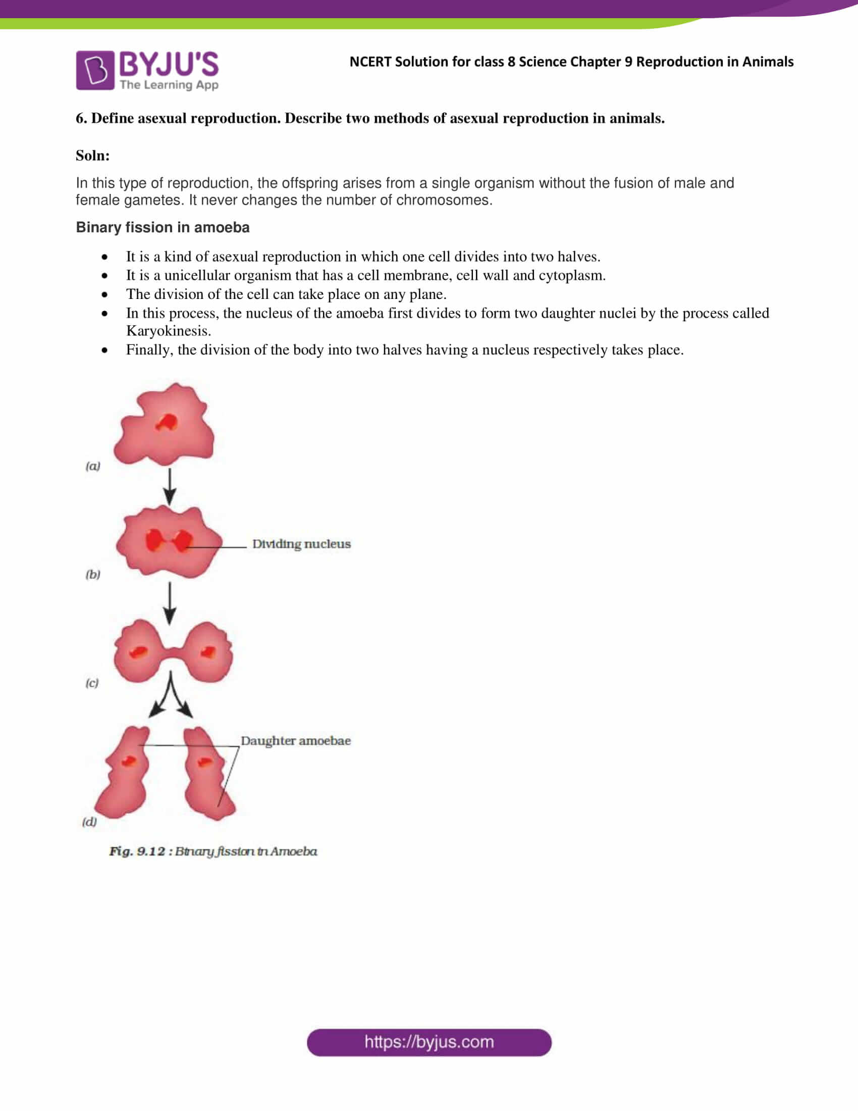 Ncert Class Viii Science Solutions Chapter 9 Reproduction