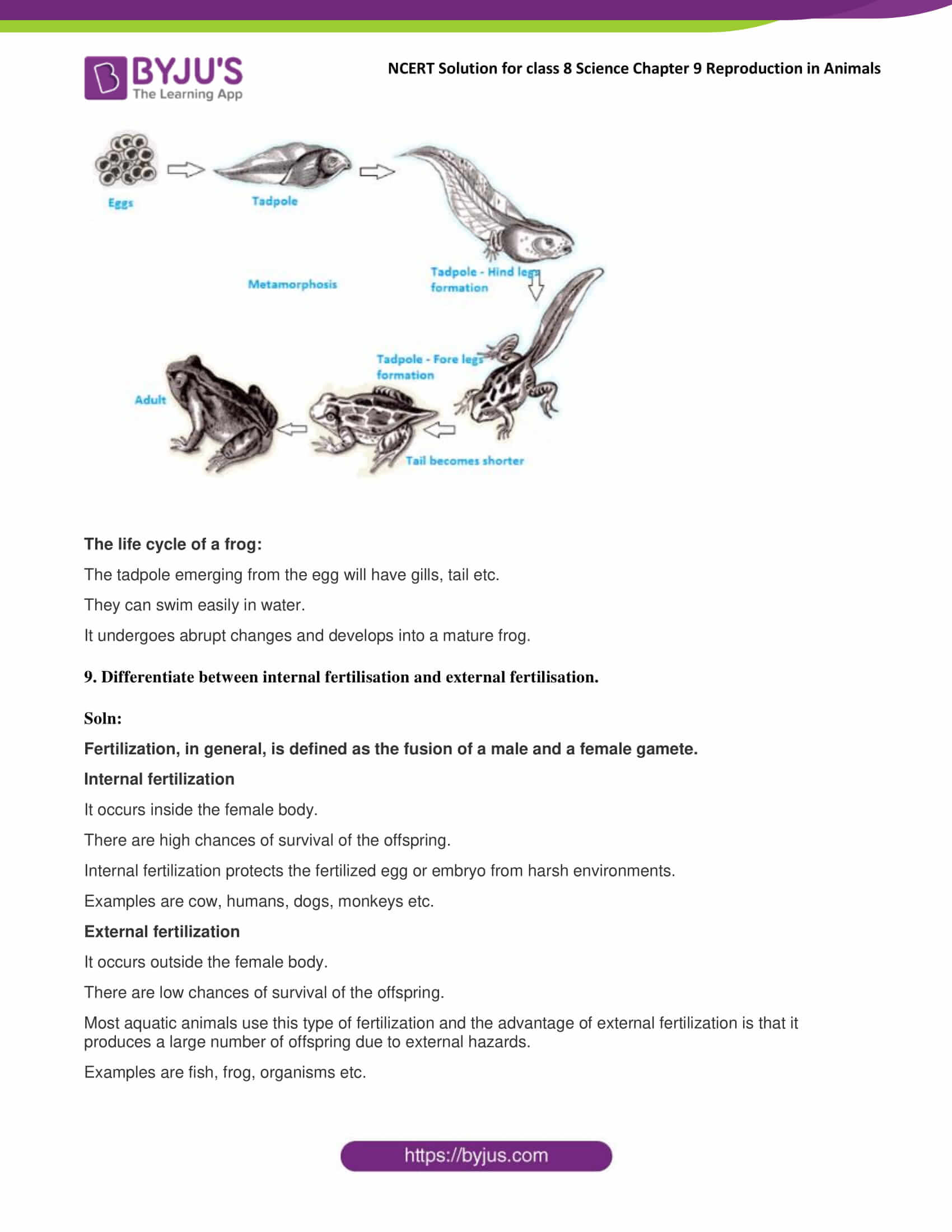 Ncert Class Viii Science Solutions Chapter 9 Reproduction NCERT Solutions For Class 8 Science ...