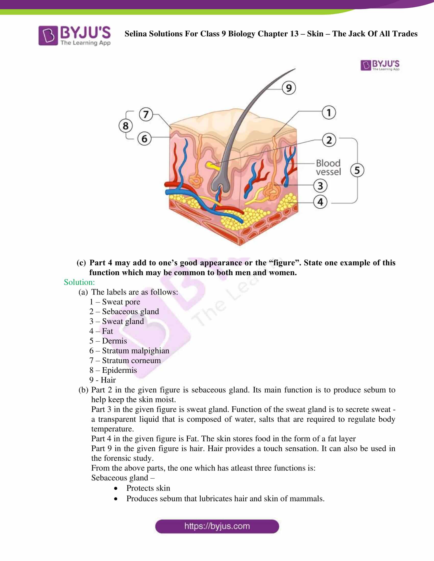 Selina Solutions Class 9 Concise Biology Chapter 13 Skin The Jack Of Selina Solutions Class 9 Concise Biology Chapter 13 Skin The Jack Of