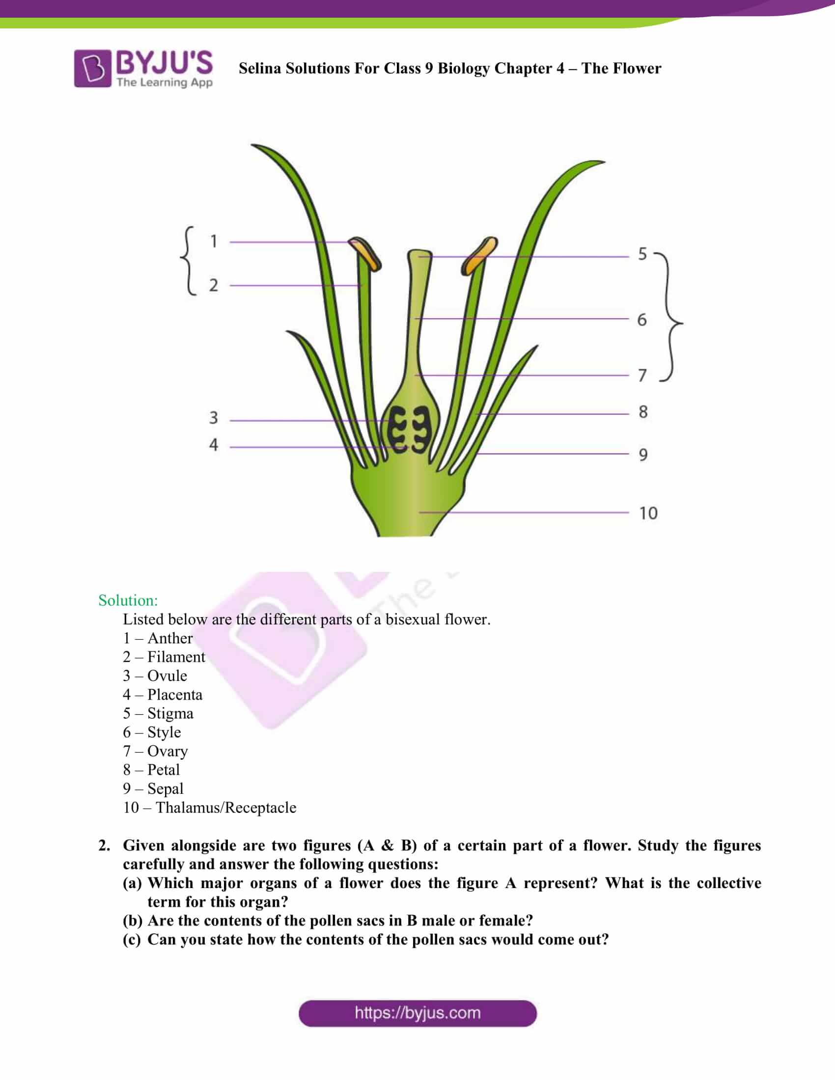 Selina Solutions Class 9 Concise Biology Chapter 4 The Flower Download