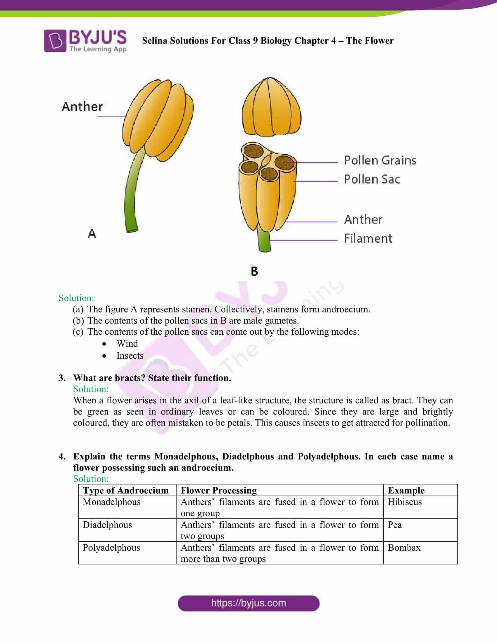 Selina Solutions Class 9 Concise Biology Chapter 4 The Flower Download