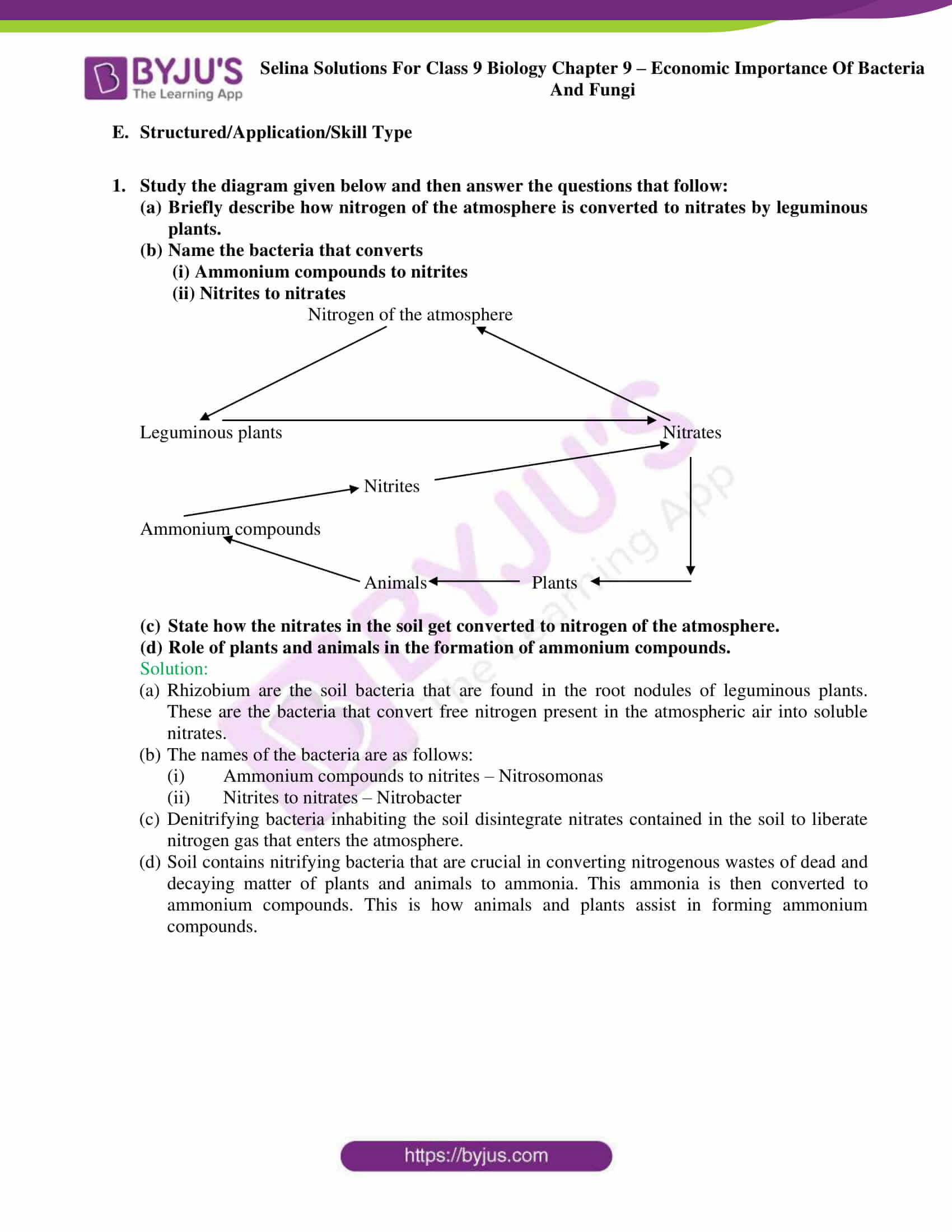 Selina Solutions Class 9 Concise Biology Chapter 9 Economic Importance Selina Solutions Class 9 Concise Biology Chapter 9 Economic Importance