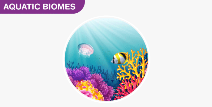 Biomes Logo