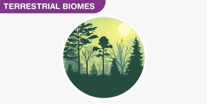 The Major Biomes of the World - Terrestrial and Aquatic biomes