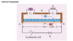 Get Information About Tamil Nadu Board Class 12 Physics Practical