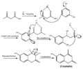 Coumarin Synthesis - Definition, Preparation & Mechanism