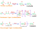 Coumarin Synthesis - Definition, Preparation & Mechanism