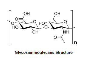 Glycosaminoglycans - Definition, Structure, Function, Applications ...