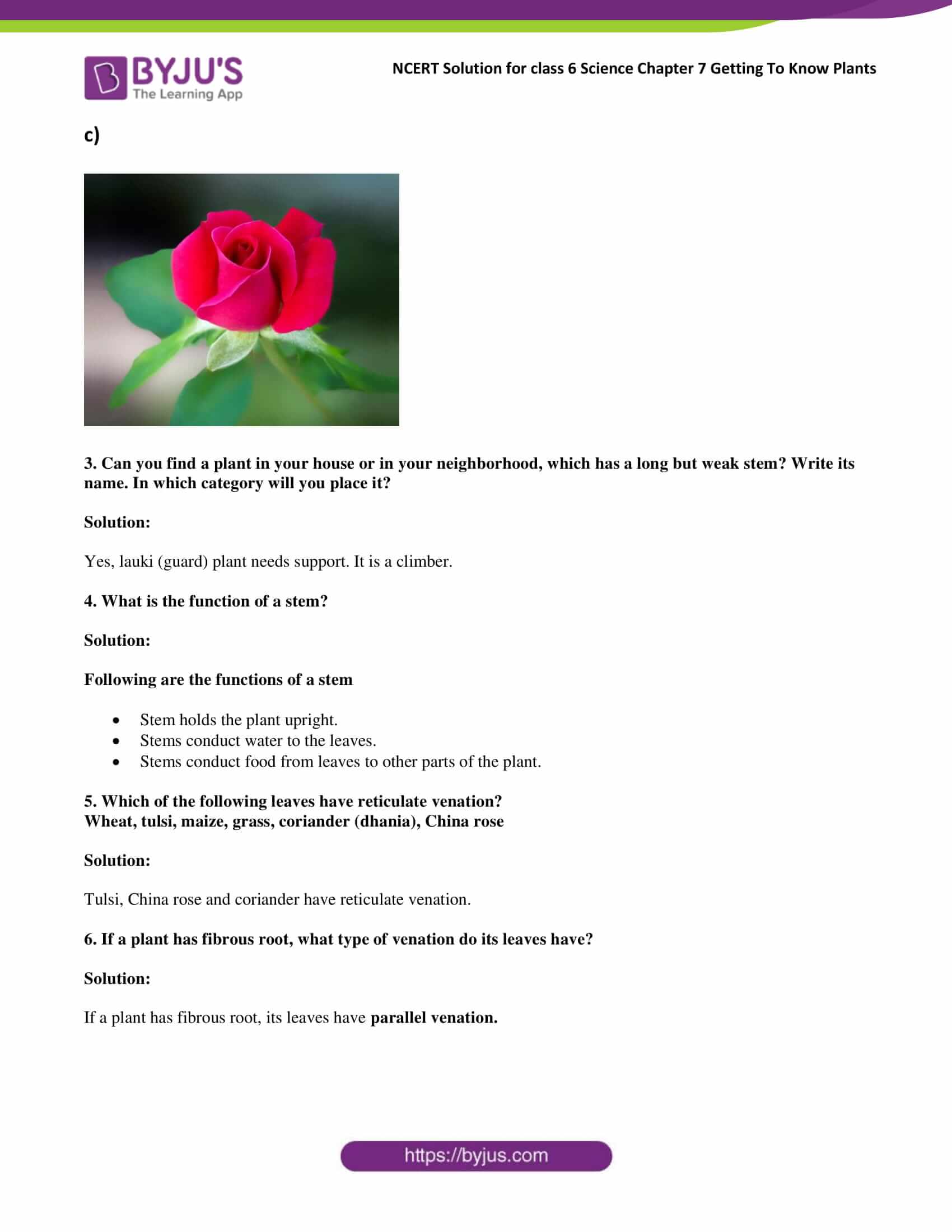 NCERT Solutions For Class 6 Science Chapter 7 Getting To Know Plants