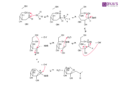 What is the Maillard Reaction? - Mechanism with Examples and Illustrations