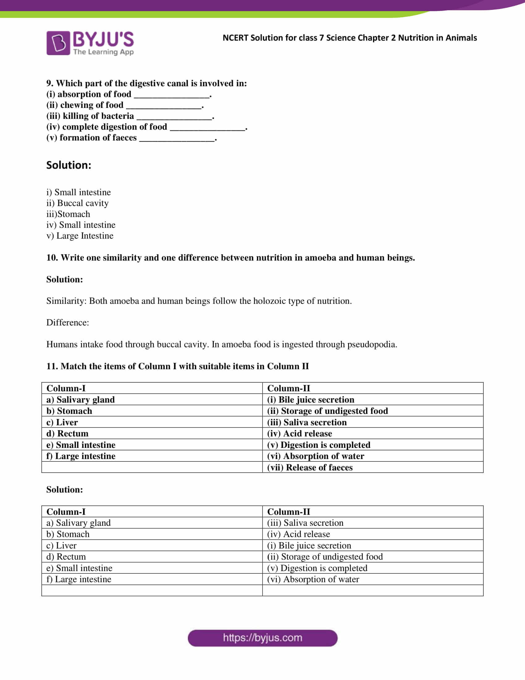 NCERT Solutions For Class 7 Science Chapter 2 Nutrition In Animals NCERT Solutions For Class 7 Science Chapter 2 Nutrition In Animals