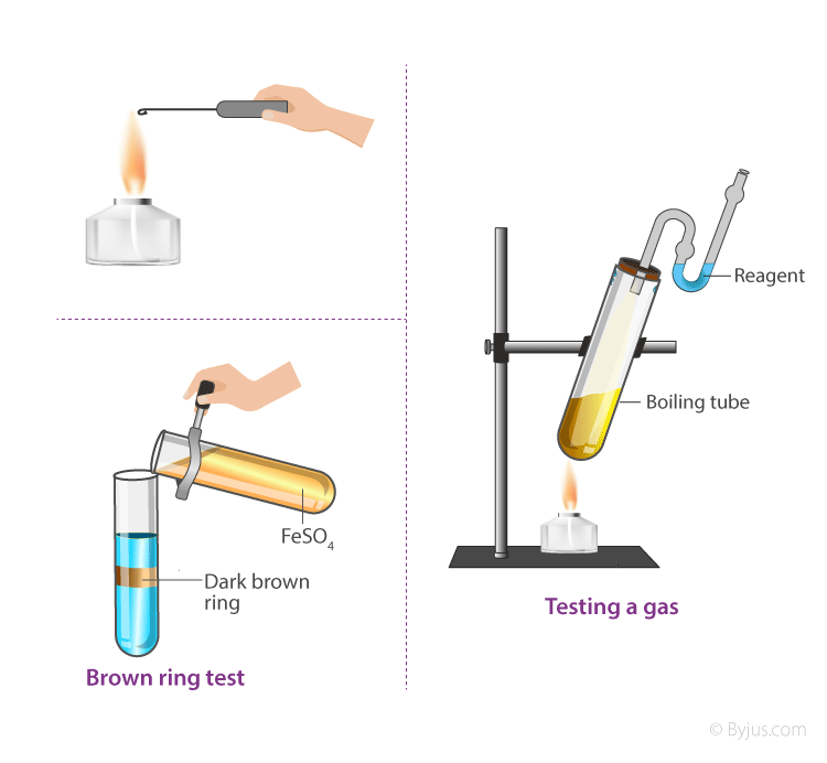 Systematic Analysis of Anions - Chemistry Practicals Class 12