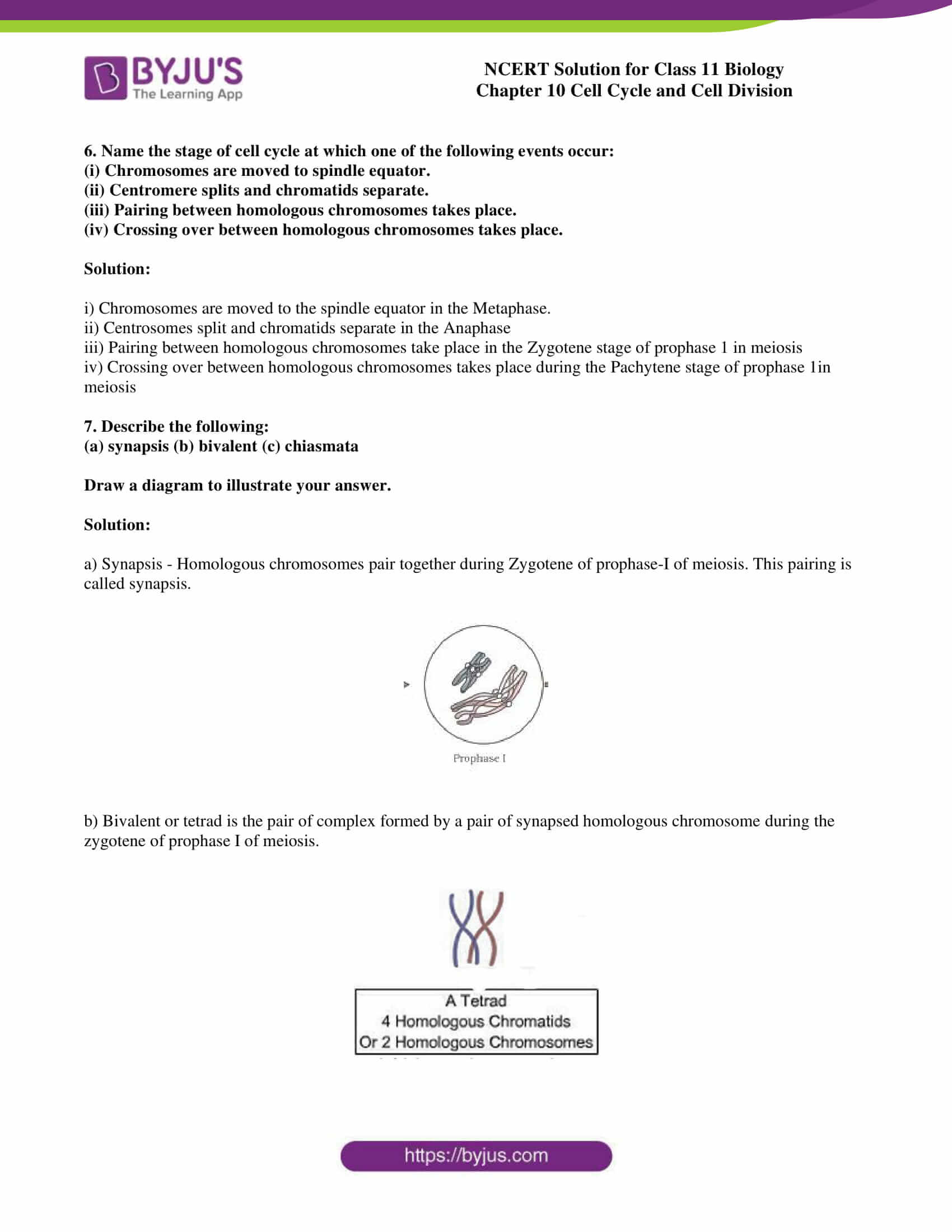 Ncert Solutions Class 11 Biology Chapter 10 Cell Cycle And Cell Division
