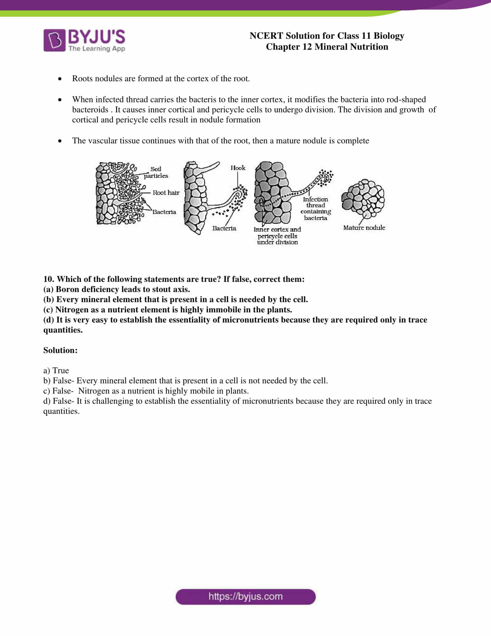 NCERT Solutions Class 11 Biology Chapter 12 Mineral Nutrition ...