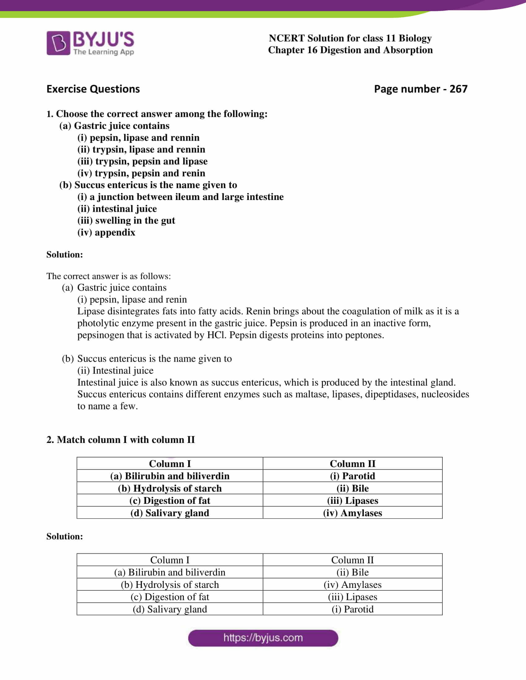 NCERT Solutions Class 11 Biology Chapter 16 Digestion and Absorption ...