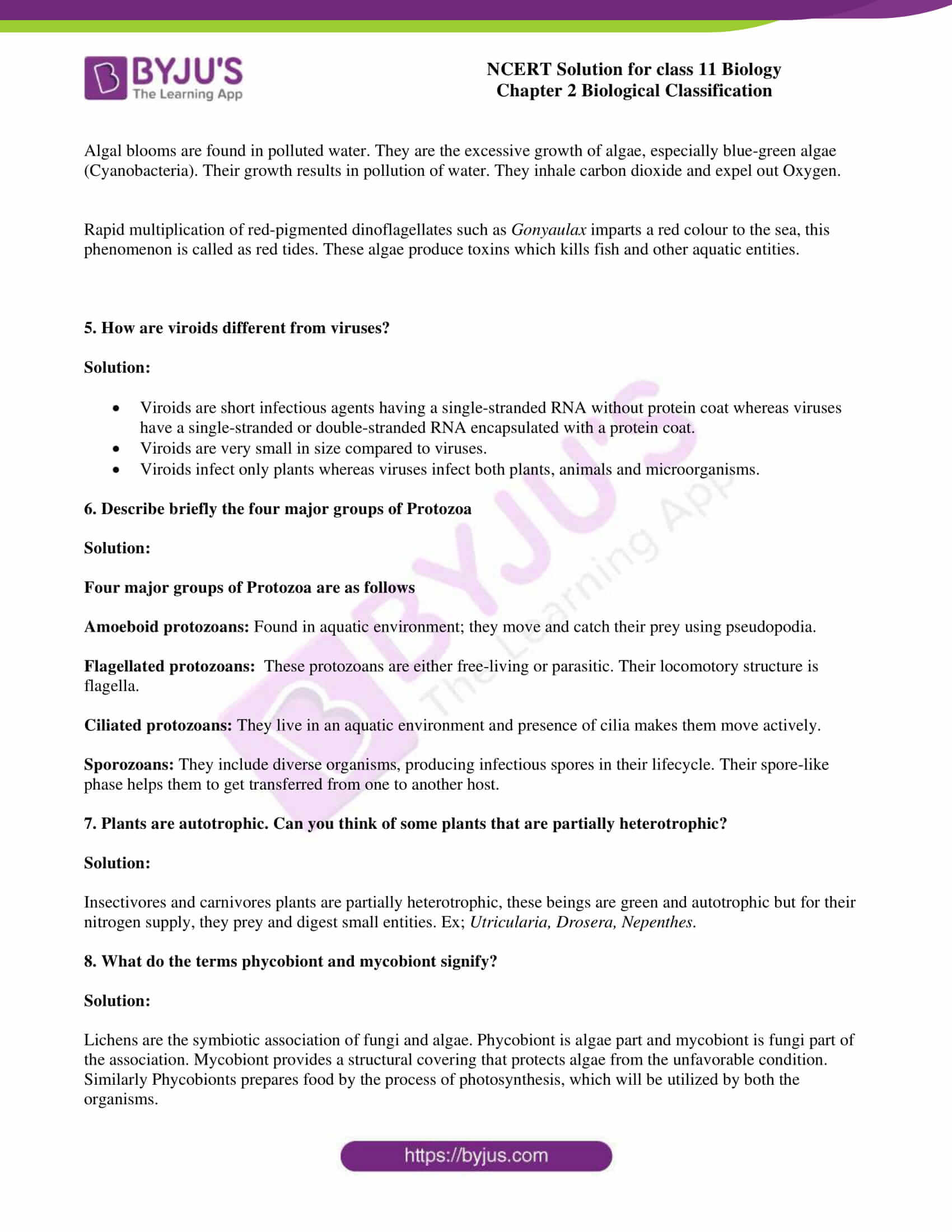 NCERT Solutions Class 11 Biology Chapter 2 Biological Classification ...
