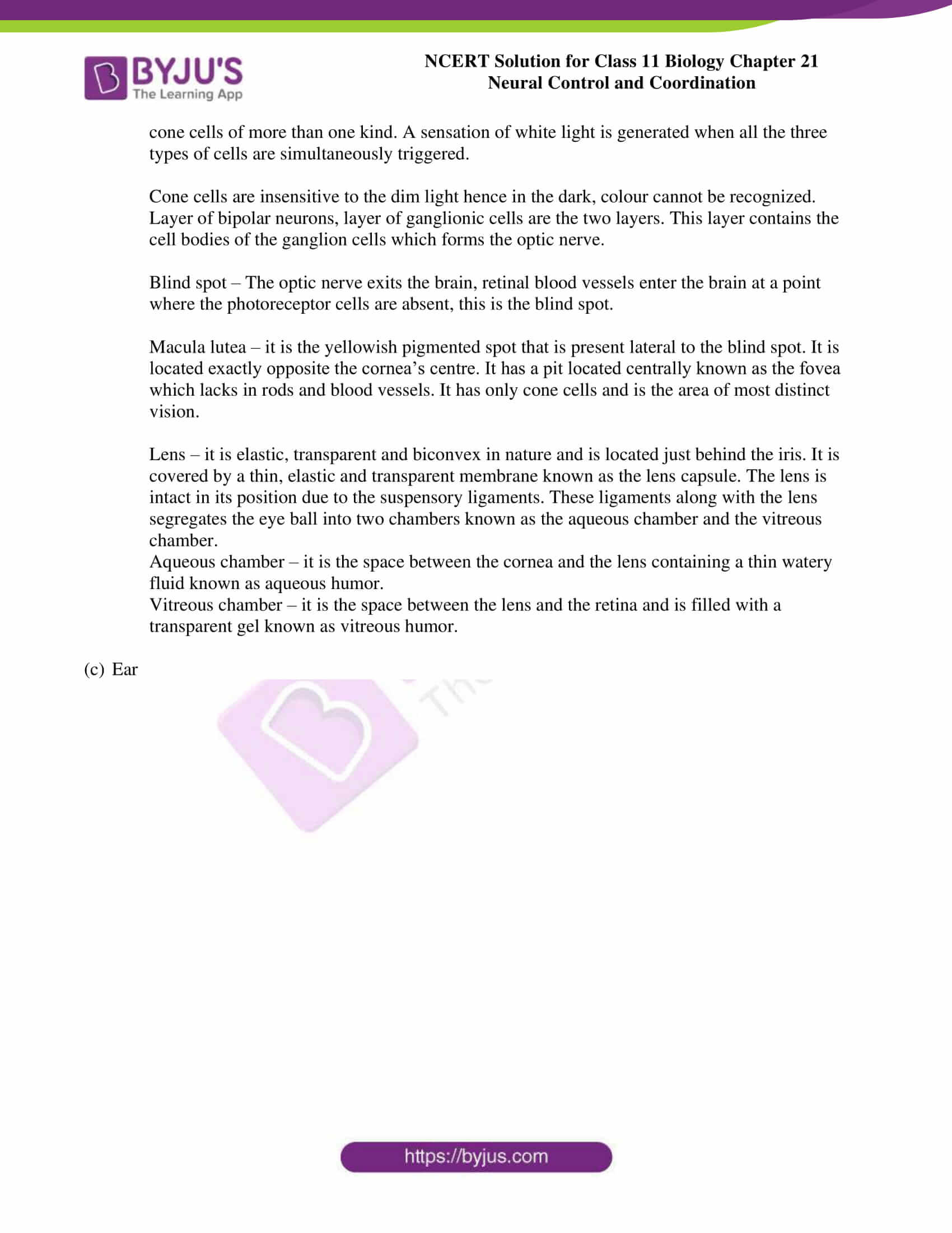 NCERT Solutions Class 11 Biology Chapter 21 Neural Control and ...