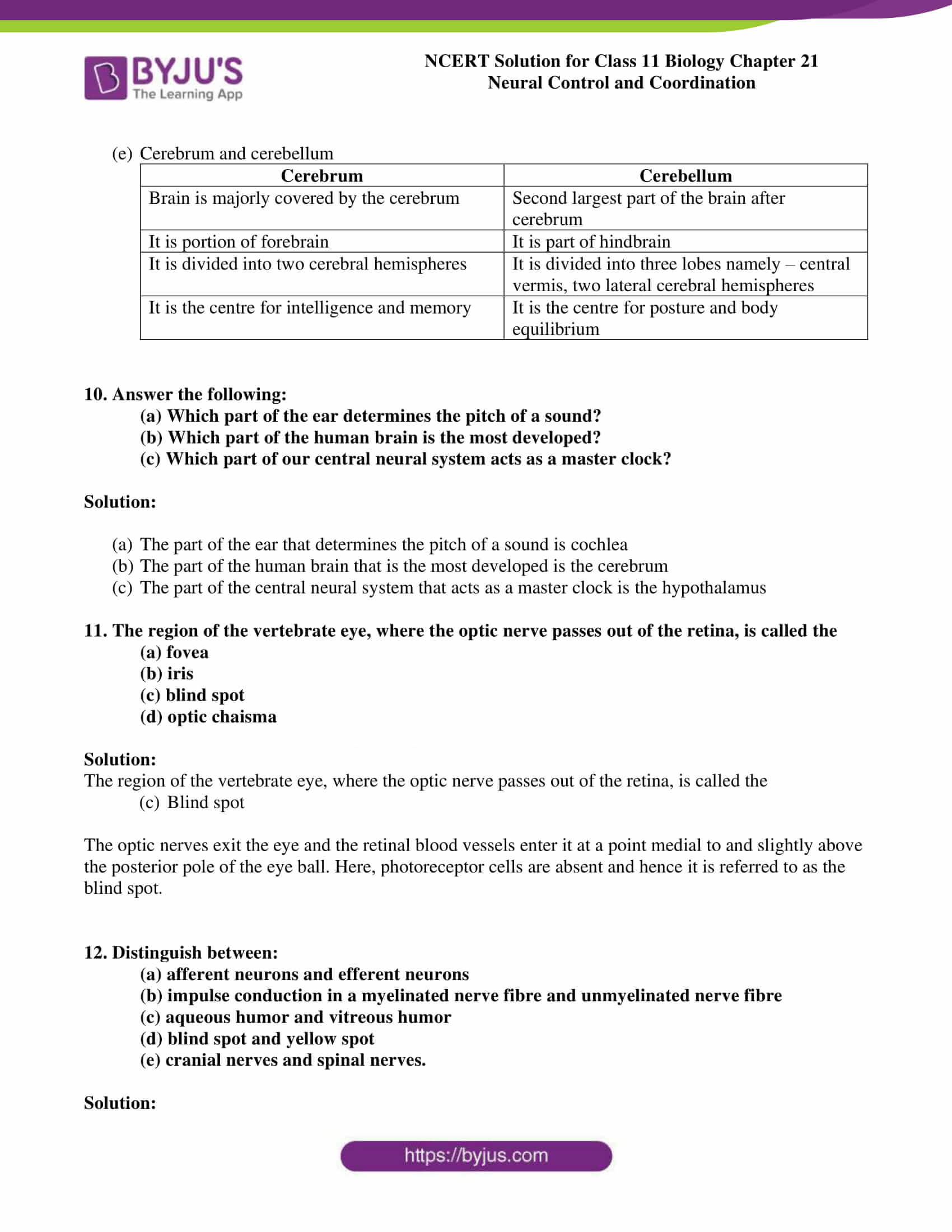 NCERT Solutions Class 11 Biology Chapter 21 Neural Control and ...