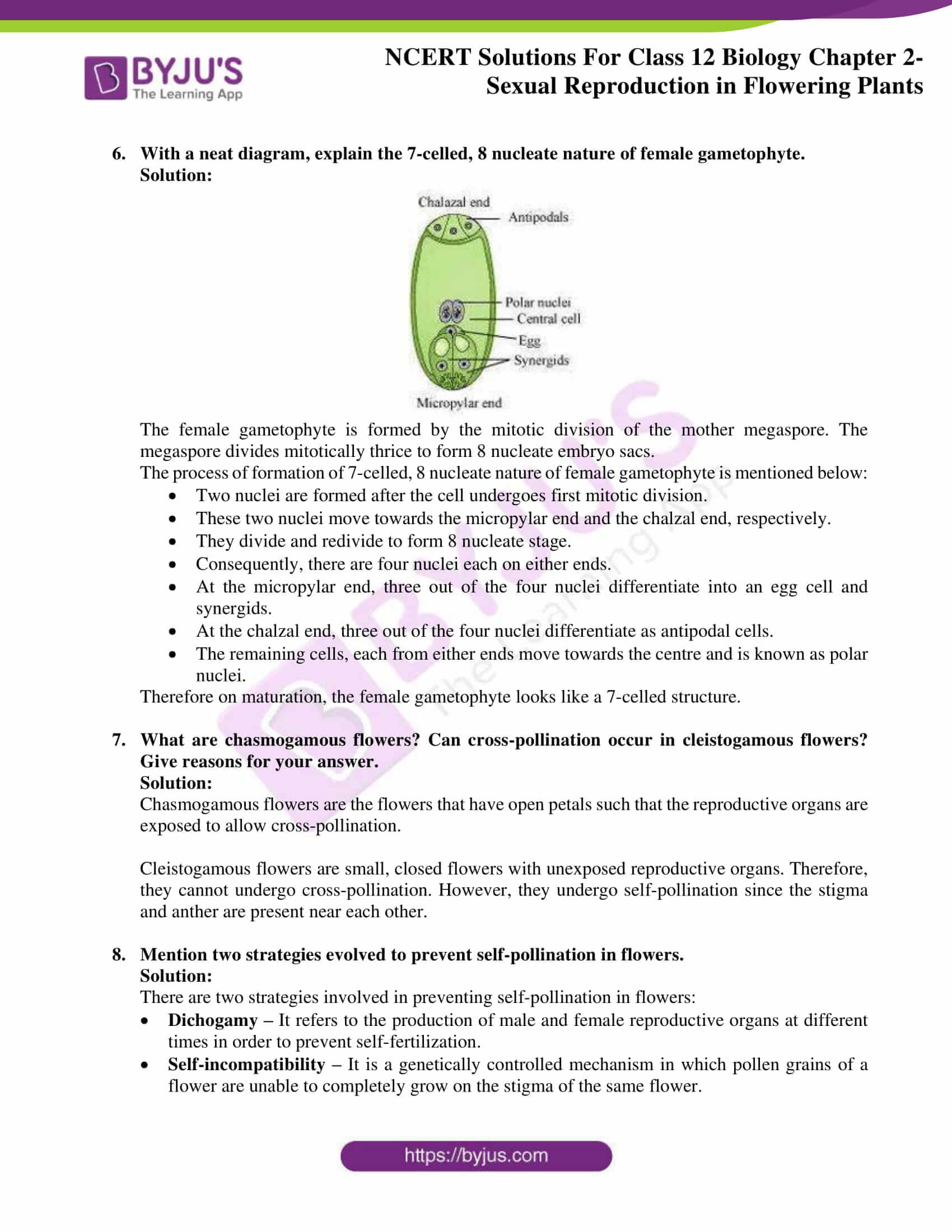 NCERT Solutions Class 12 chapter 2 – Sexual Reproduction in Flowering ...
