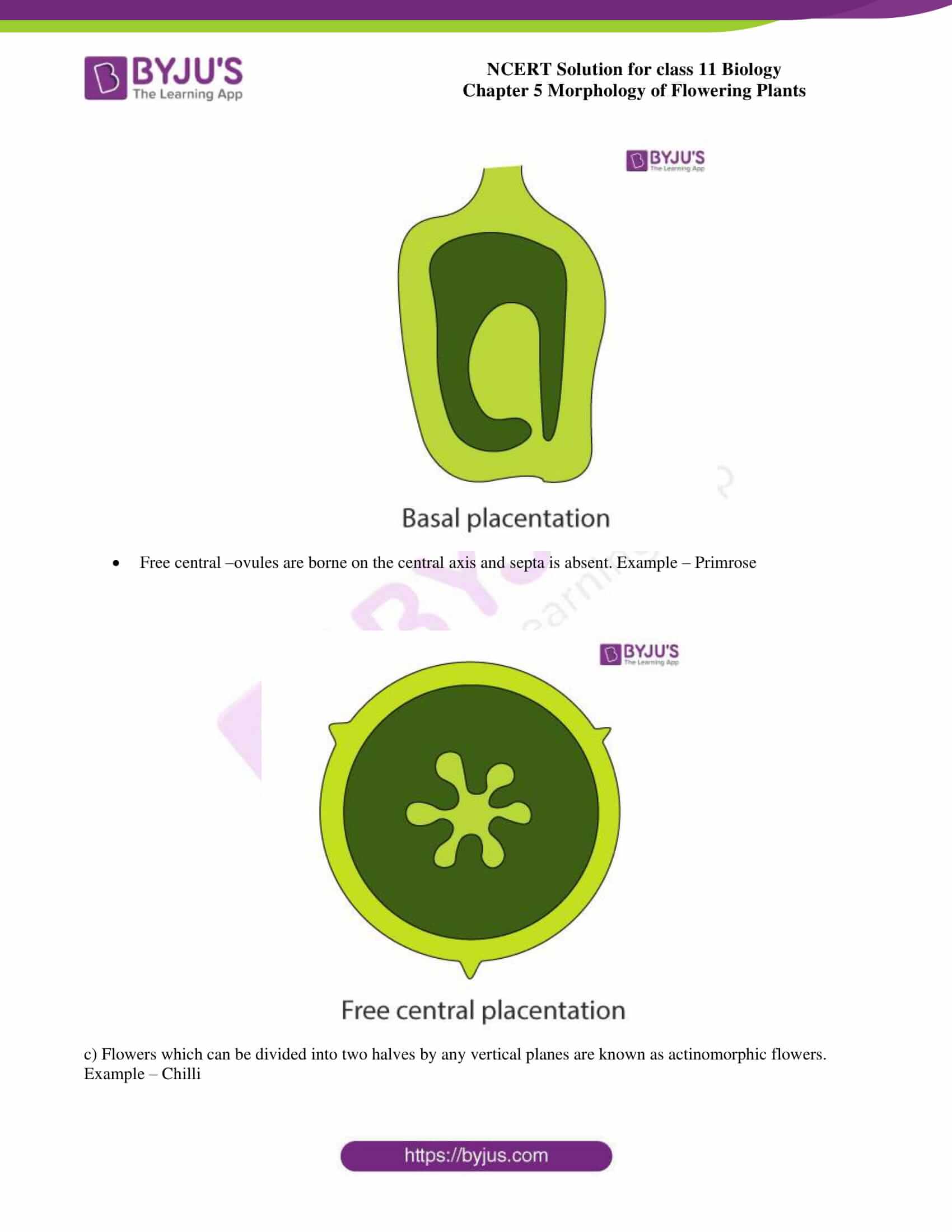 NCERT Solutions Class 11 Chapter 5 Morphology of Flowering plants