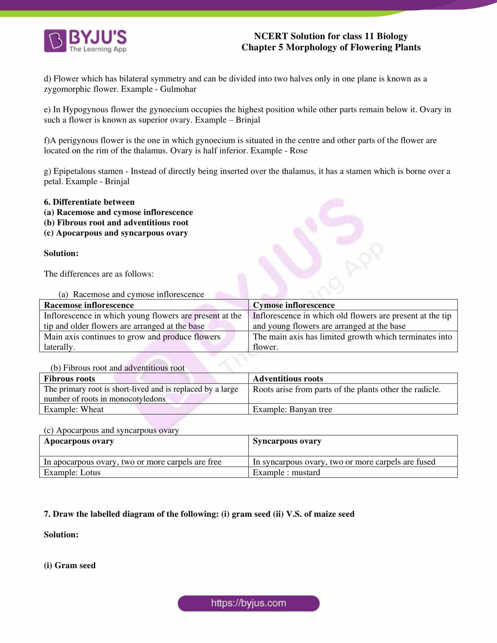 NCERT Solutions Class 11 Chapter 5 Morphology of Flowering plants