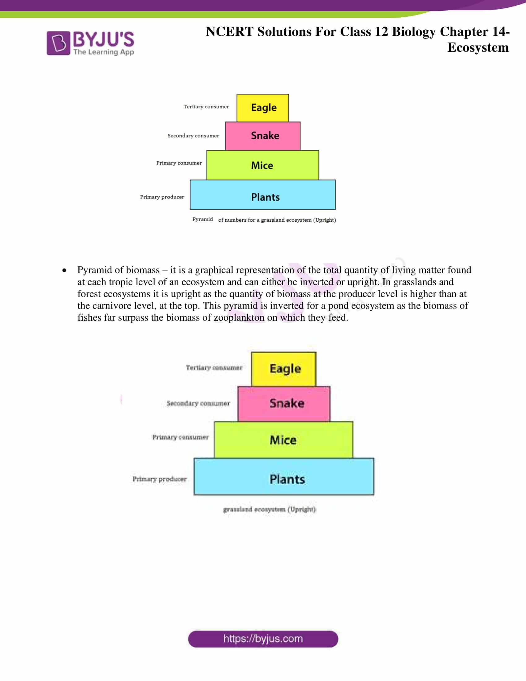 NCERT Solutions Class 12 Biology Chapter 14 - Ecosystem