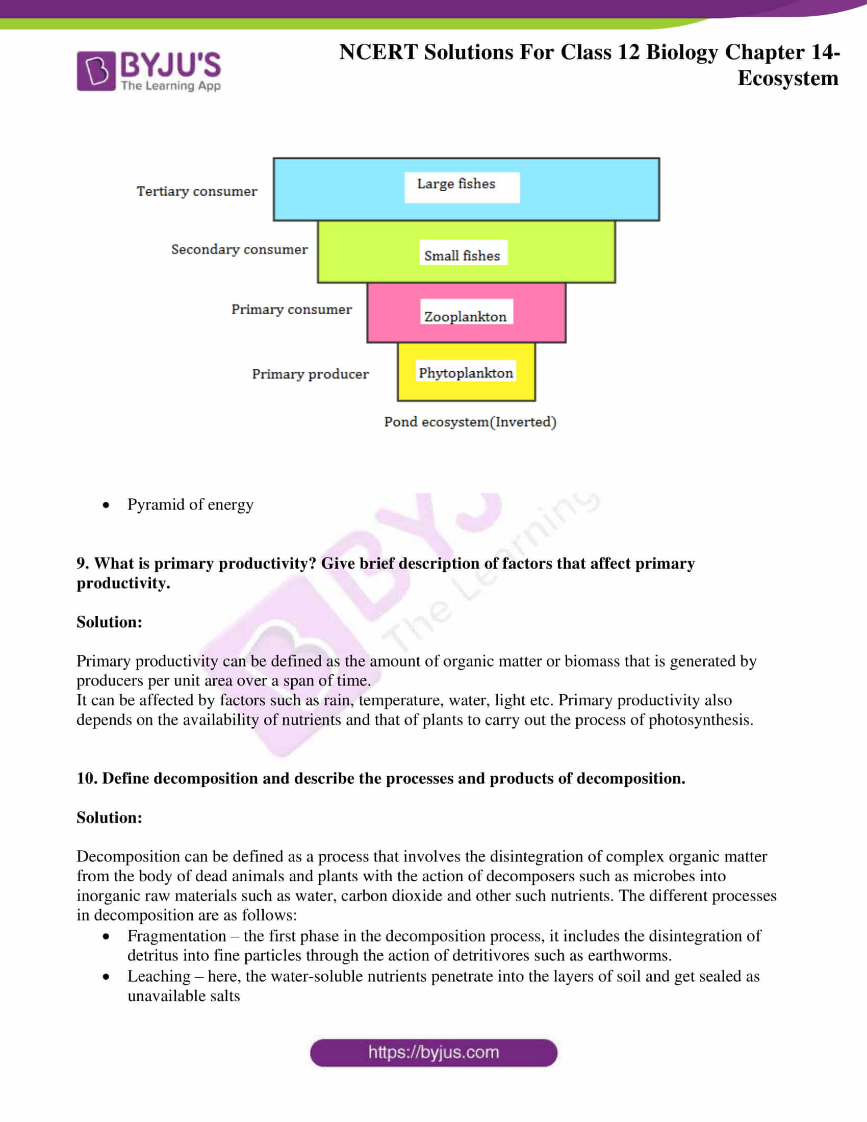 NCERT Solutions Class 12 Biology Chapter 14 - Ecosystem