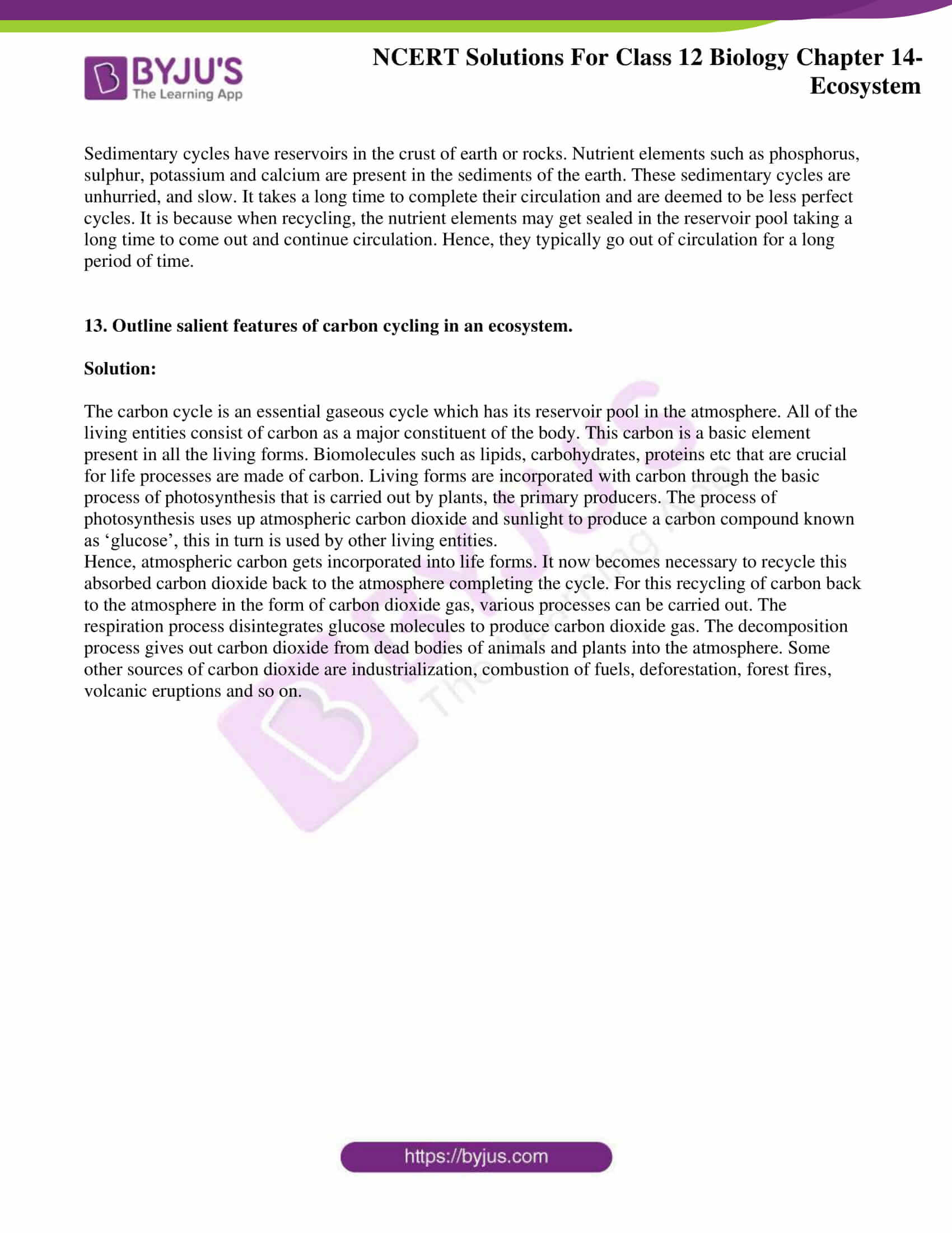 NCERT Solutions Class 12 Biology Chapter 14 - Ecosystem