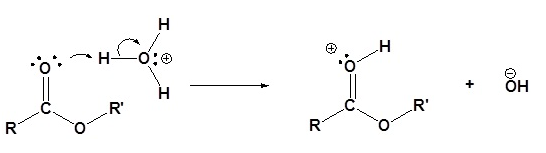 Transesterification - Process, Reaction Mechanism, Applications